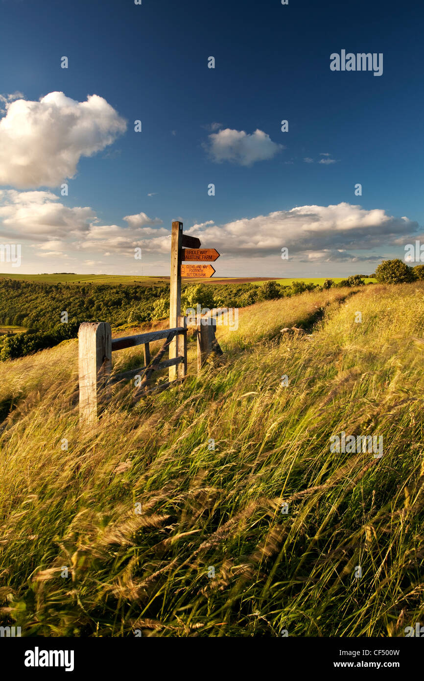 Footpath sign by a gate on the Cleveland Way north of Sutton Bank Stock ...