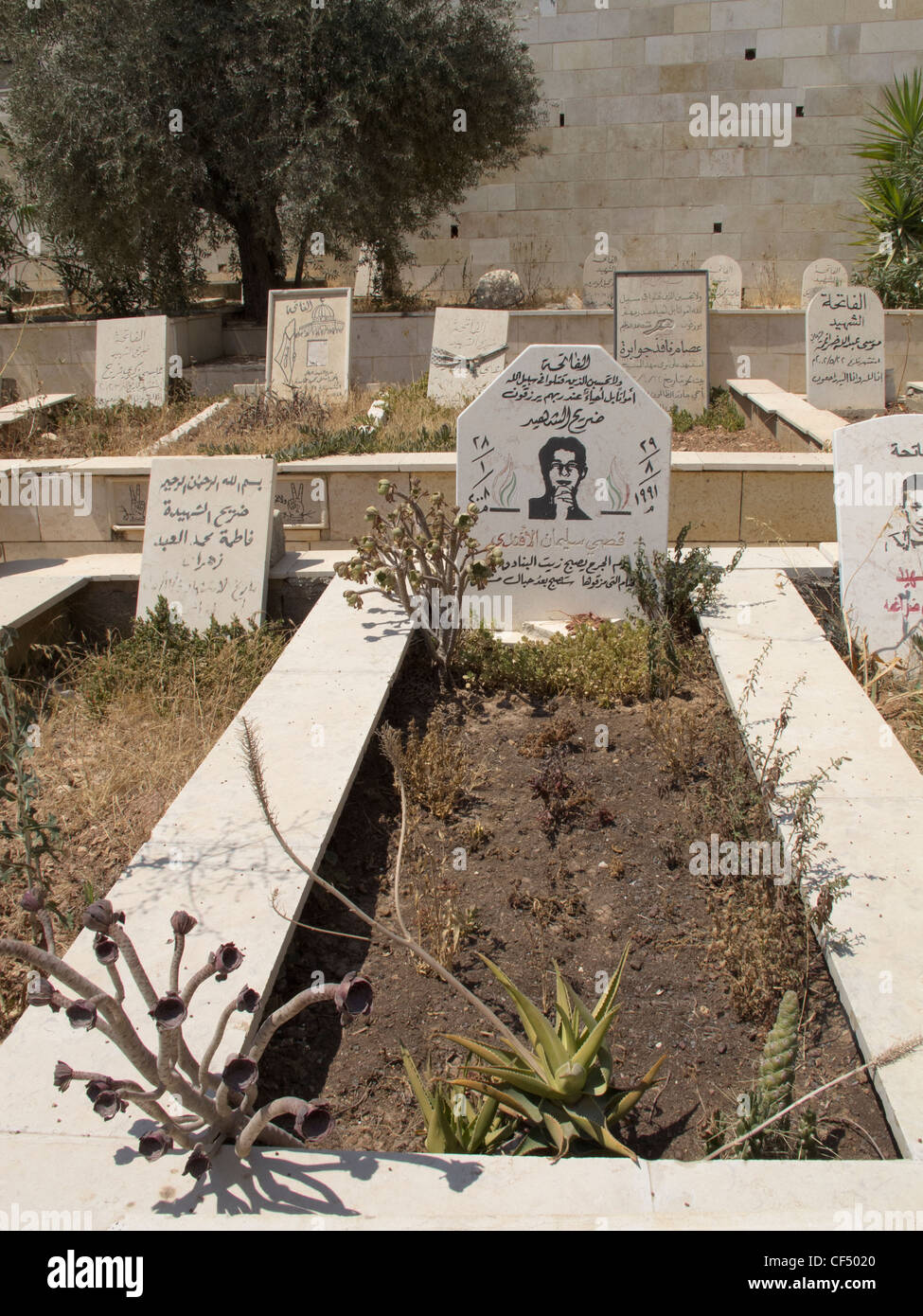 Palestine, West bank,Deishie ,Arab Martyr Cemetery Stock Photo - Alamy