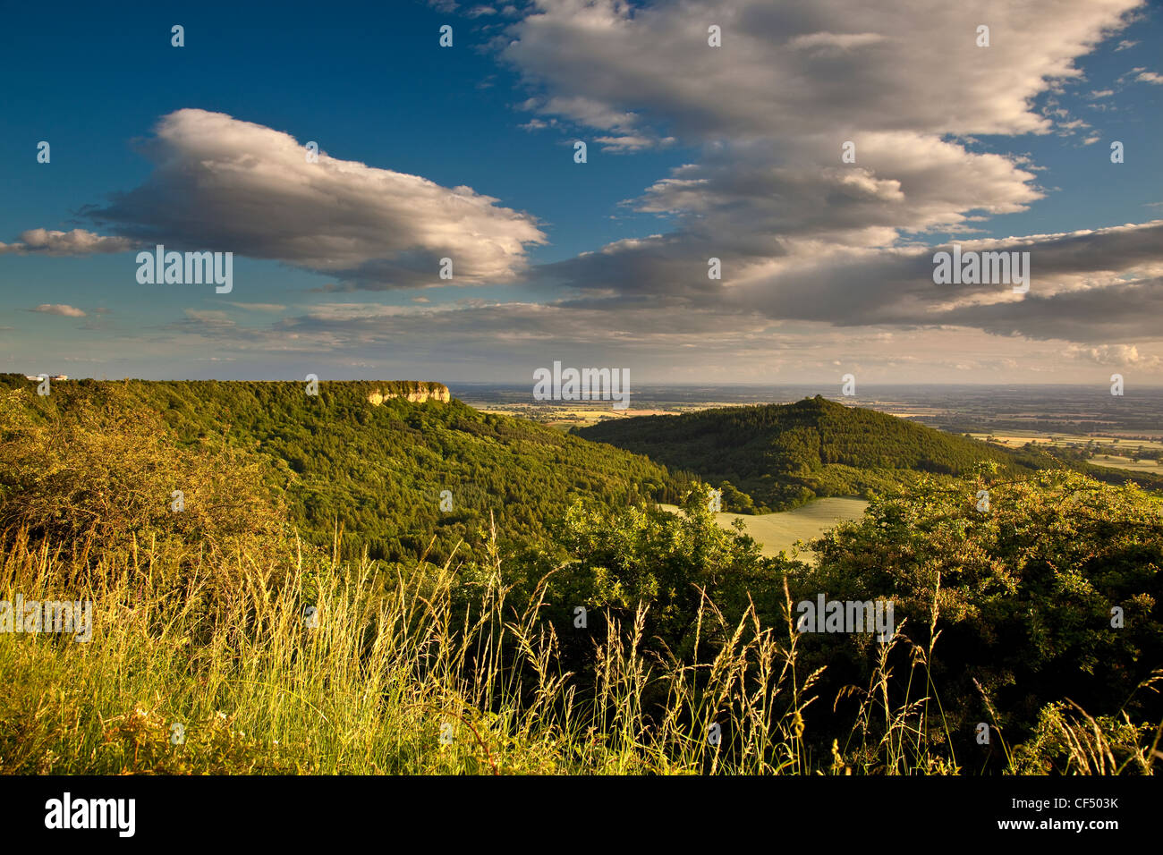 Roulston Scar and Hood Hill near Sutton Bank with Vale of York in the ...