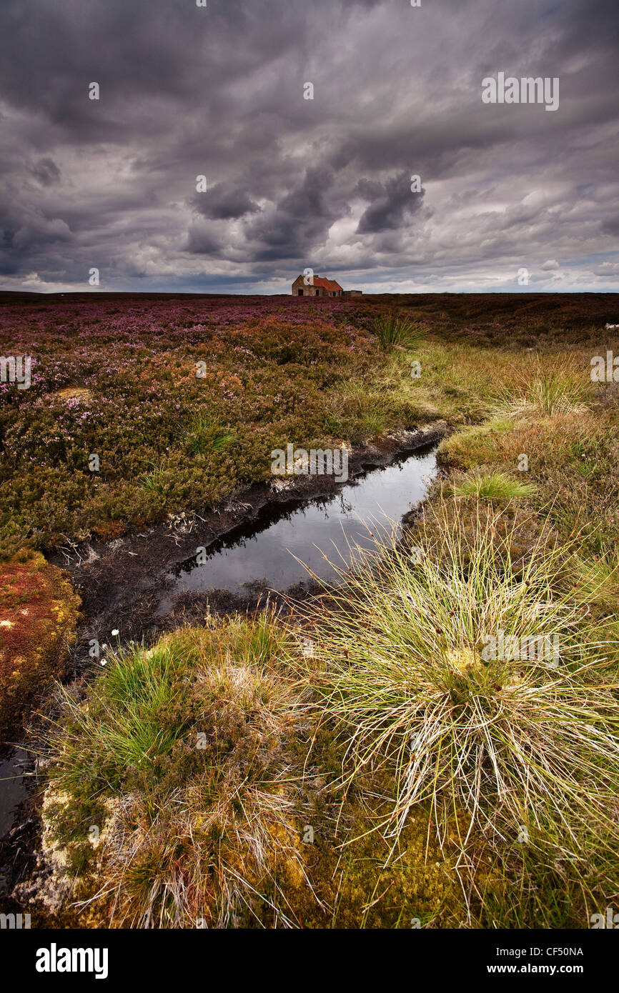 Peat and moor hi-res stock photography and images - Alamy