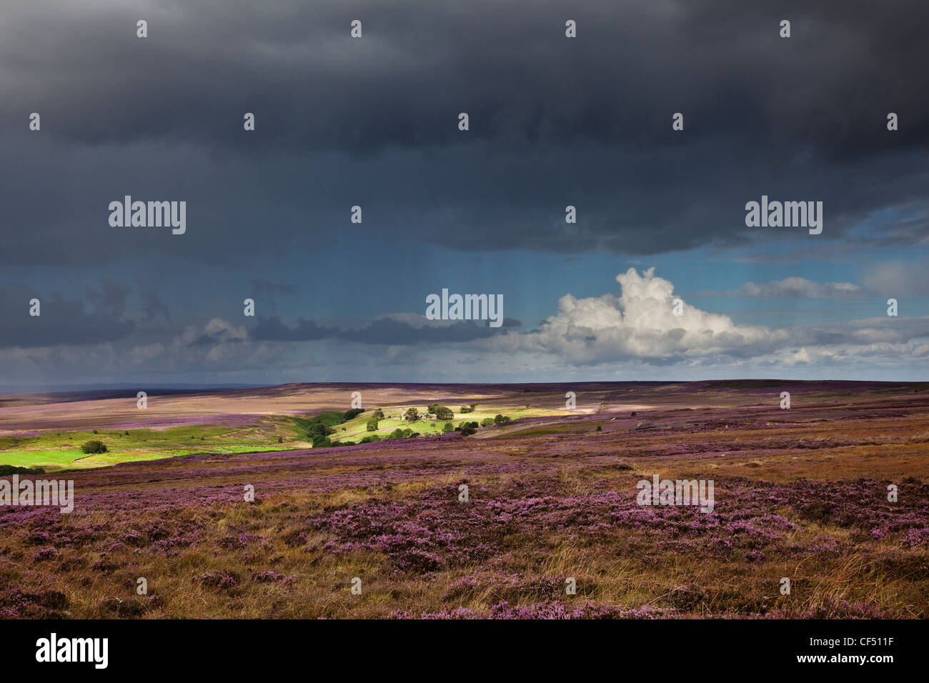 Summer storm approaching Danby Beacon in the North York Moors National ...