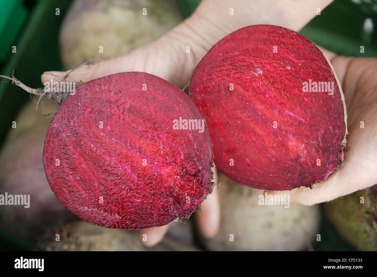 Turnip cross section hi-res stock photography and images - Alamy