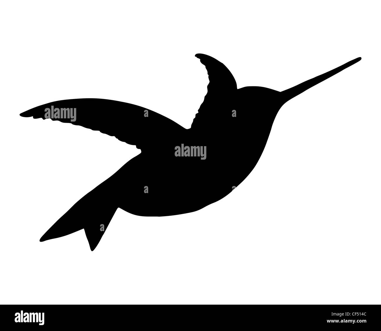 Hummingbird cut out hi-res stock photography and images - Alamy