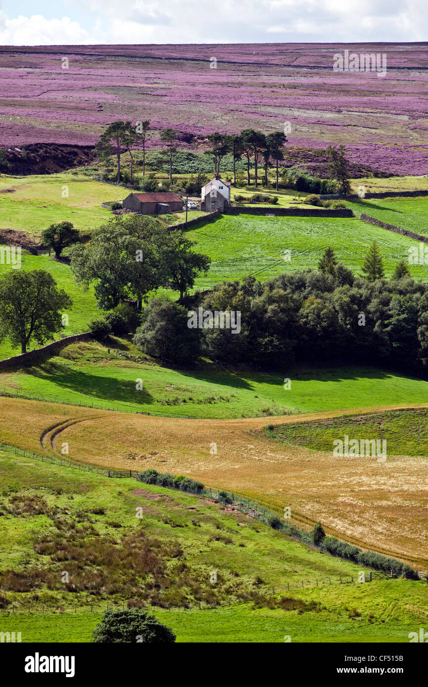 Scale Cross Farm on Commondale Moor in the North York Moors National ...