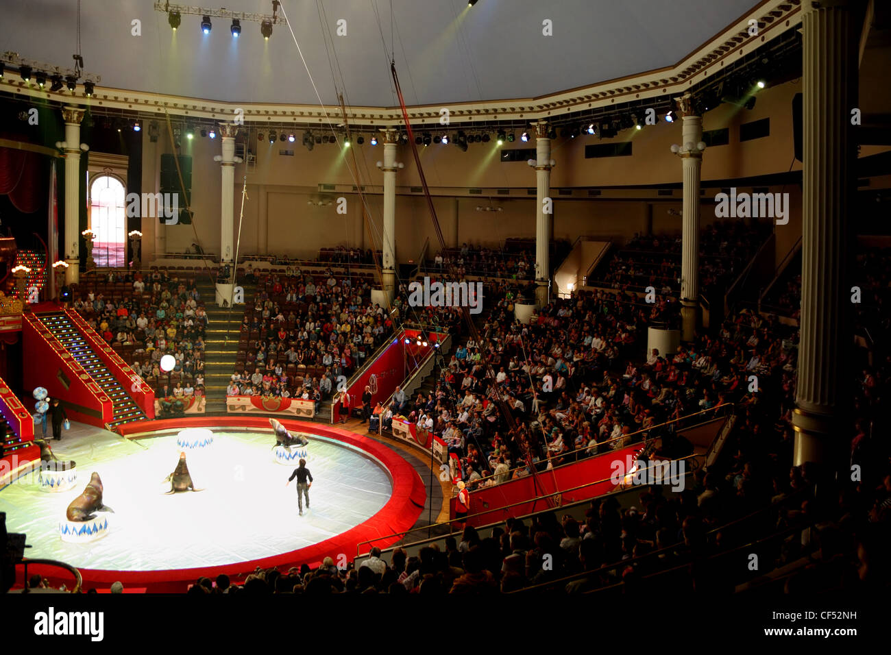 MOSCOW - JUNE 5 - blue arena in Moscow Nikulin circus performance with ...