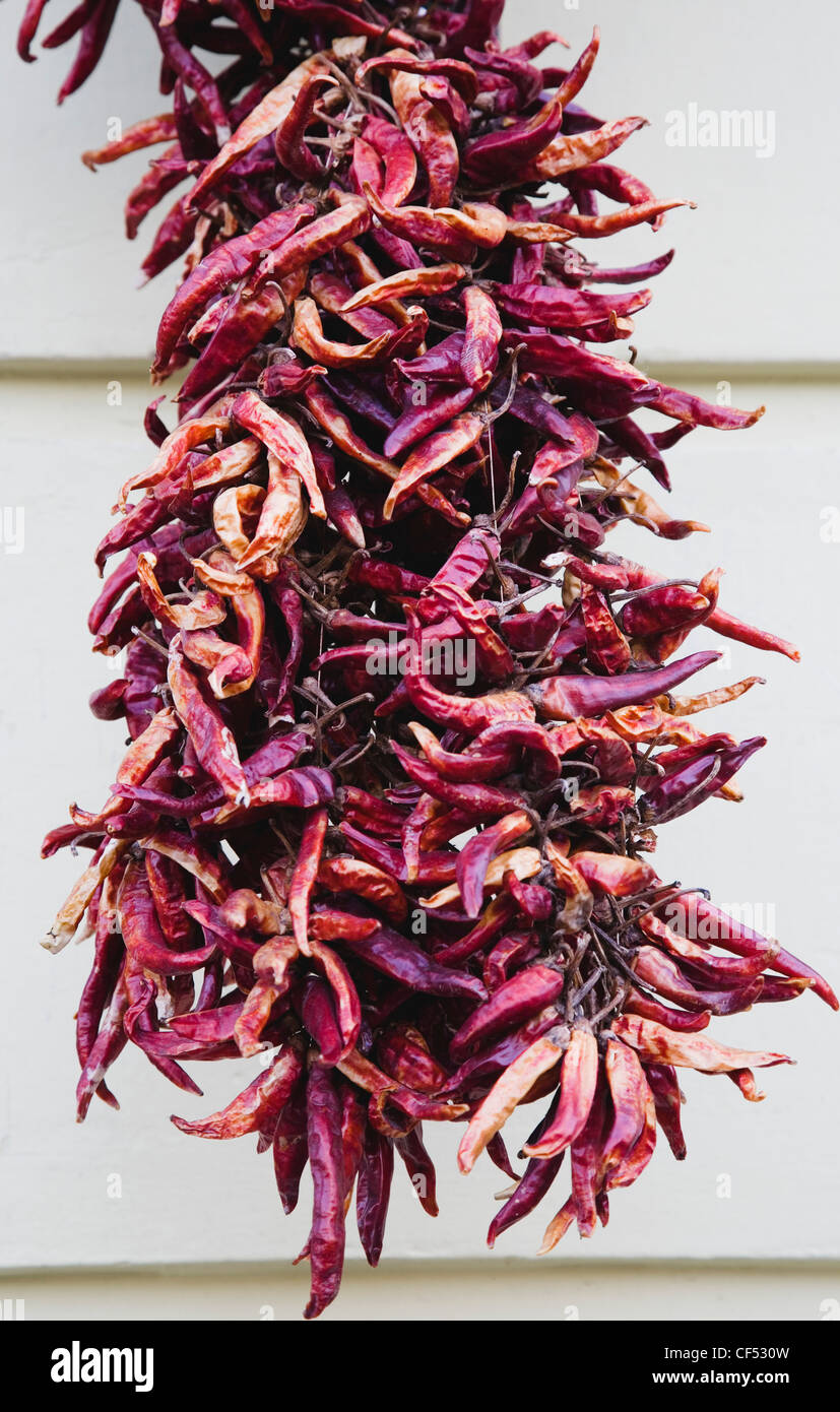 Drying chilis in central pest hi-res stock photography and images - Alamy
