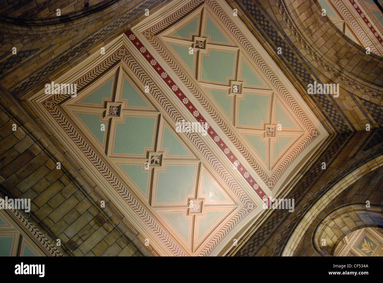 Looking up to the Natural History Museum ceiling Stock Photo - Alamy