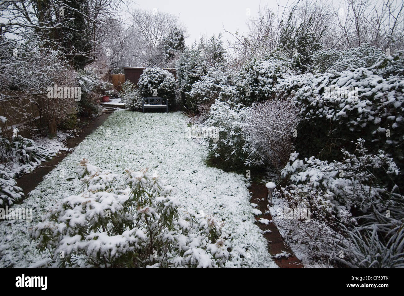 Garden with lawn, paths, bushes, trees, shed and bench lightly covered ...