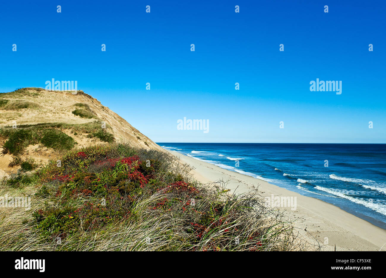 Cape cod national seashore hi-res stock photography and images - Alamy
