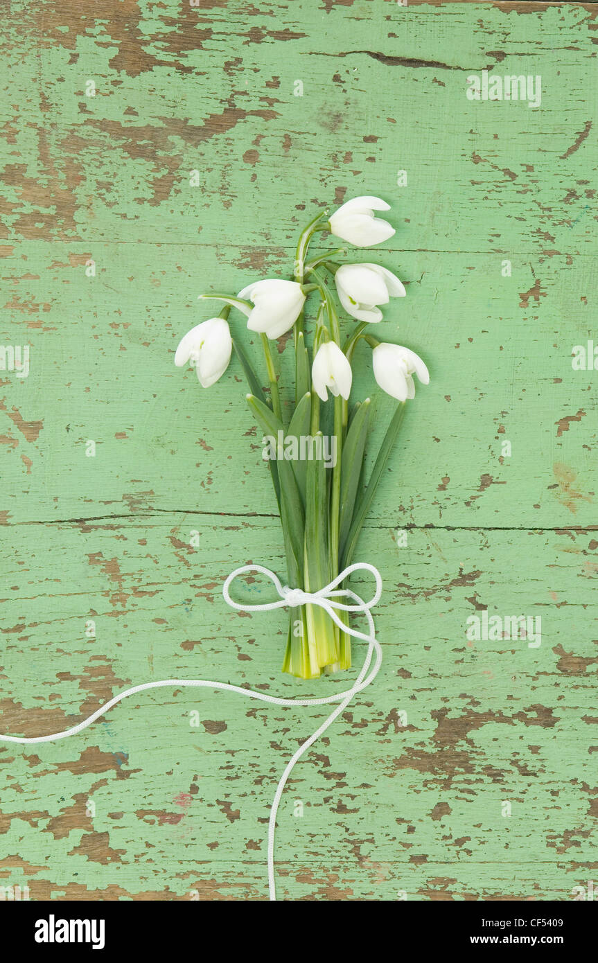 Bunch Of Snowdrops High Resolution Stock Photography and Images - Alamy