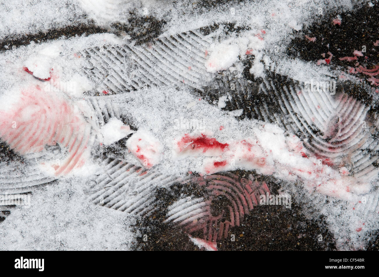 Europe, Germany, Crime scene with footprints and bloodstain in snow ...