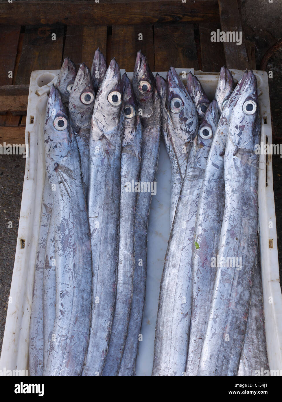 Morocco, Essaouira, Fishes in fish market Stock Photo - Alamy