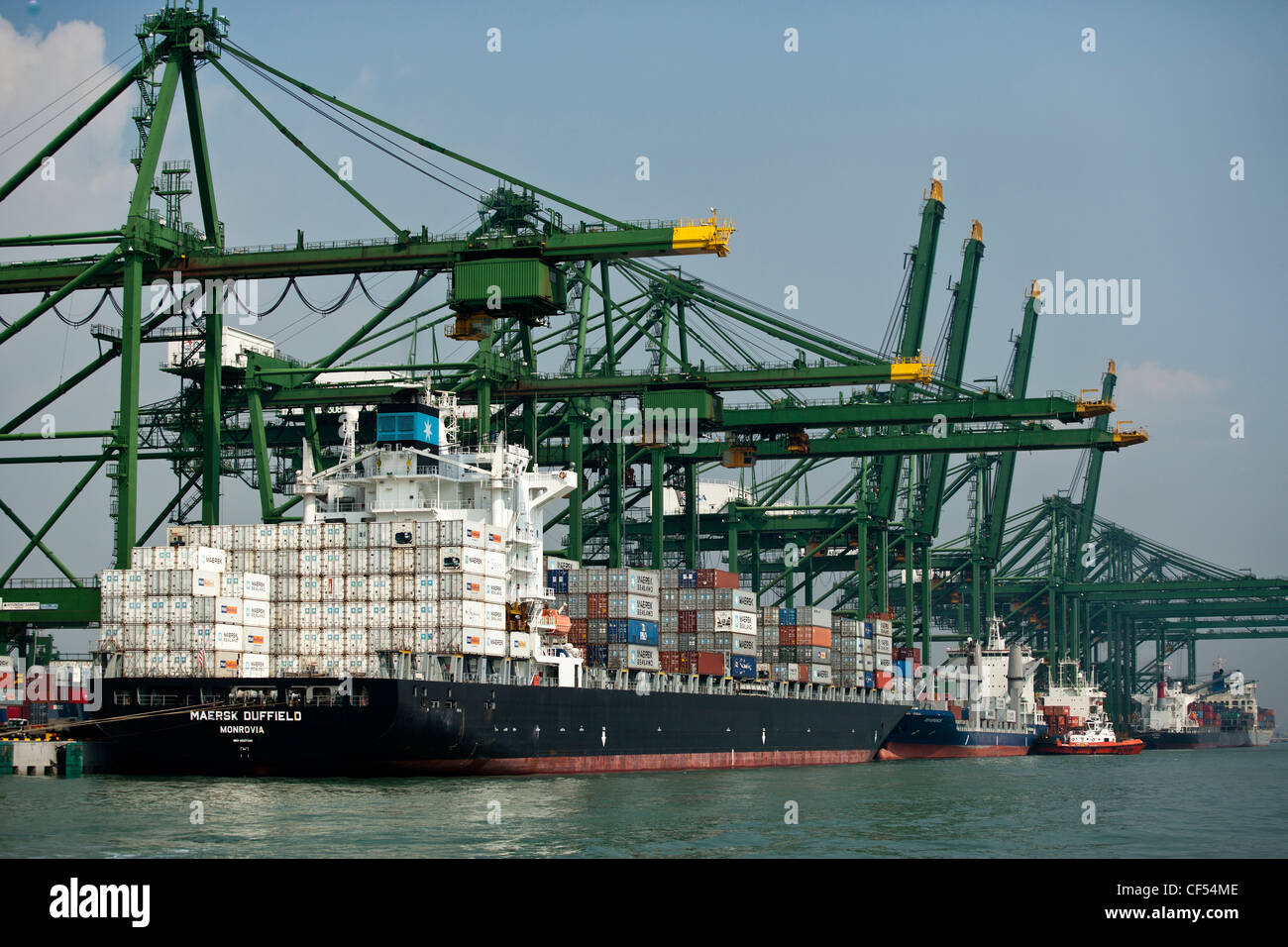 Container ships are seen moored at the Pasir Panjang terminal of the ...