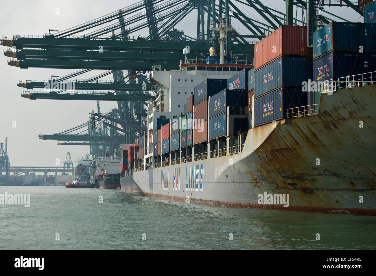 Container ships are seen moored at the Pasir Panjang terminal of the ...