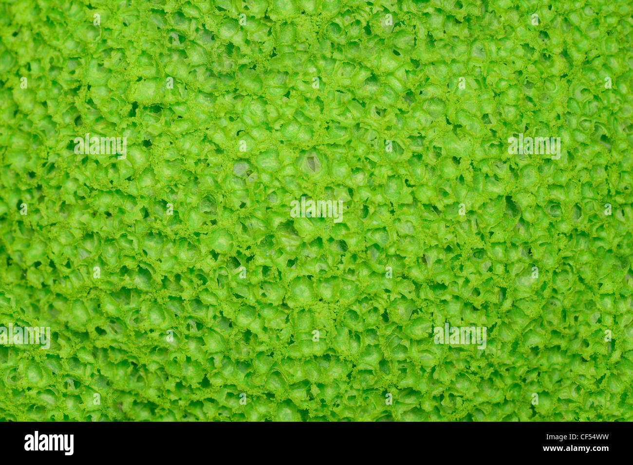 Soft green porous texture, surface Stock Photo - Alamy