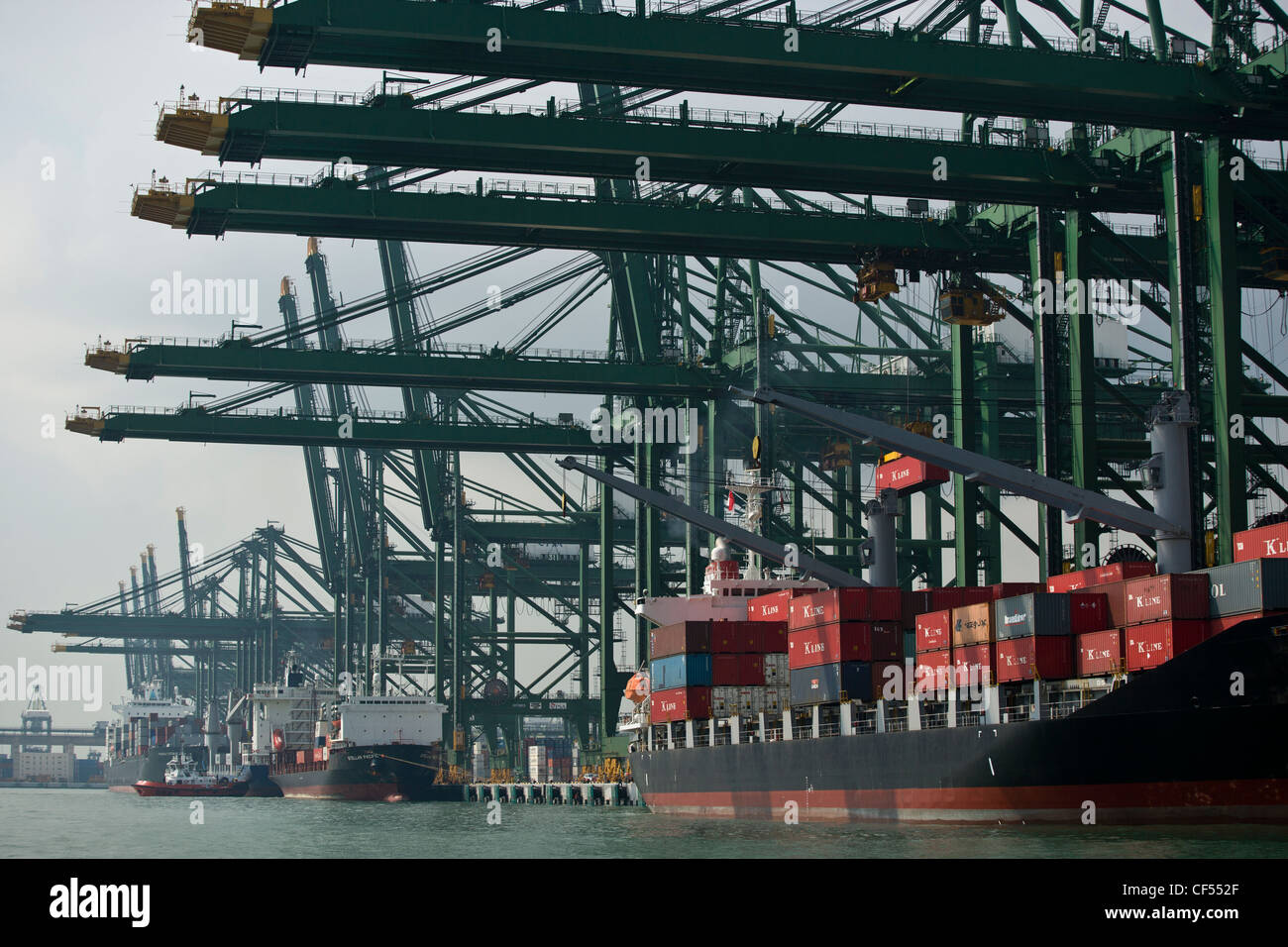 Container ships are seen moored at the Pasir Panjang terminal of the ...