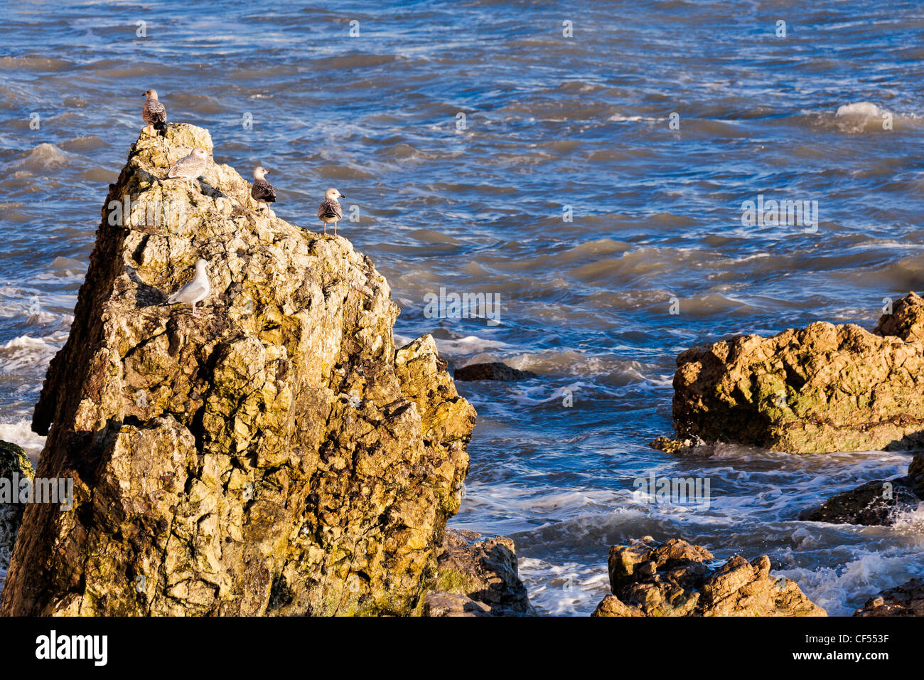View of the rocks at Hope Gap Stock Photo - Alamy