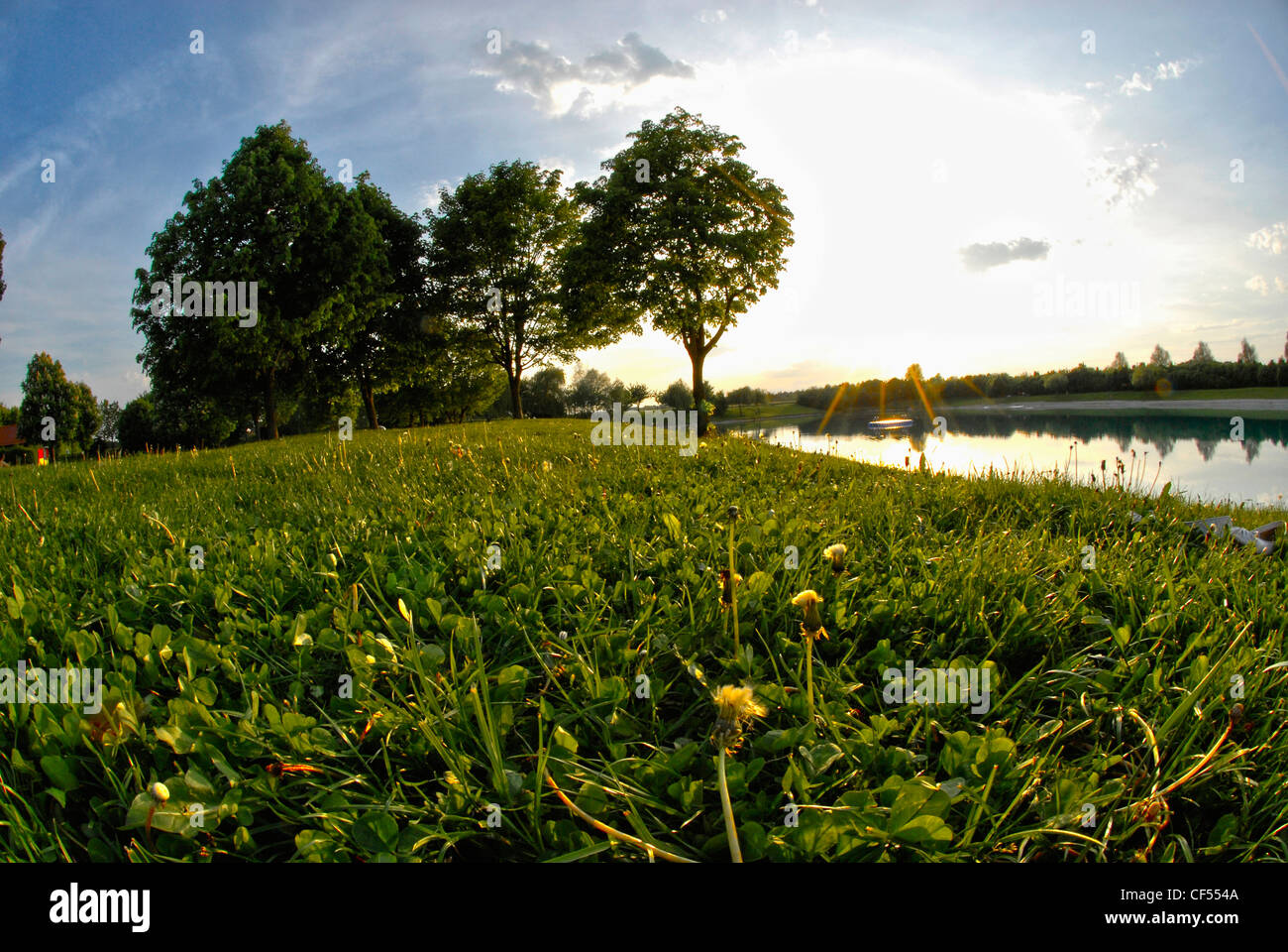Germany, Bavaria, View of trees and grass Stock Photo - Alamy