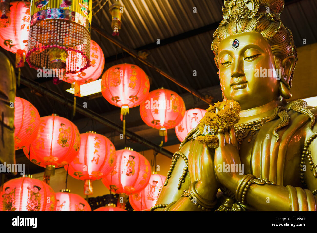 Gold Guanyin Goddess of Mercy statue with red lanterns for Chinese New ...
