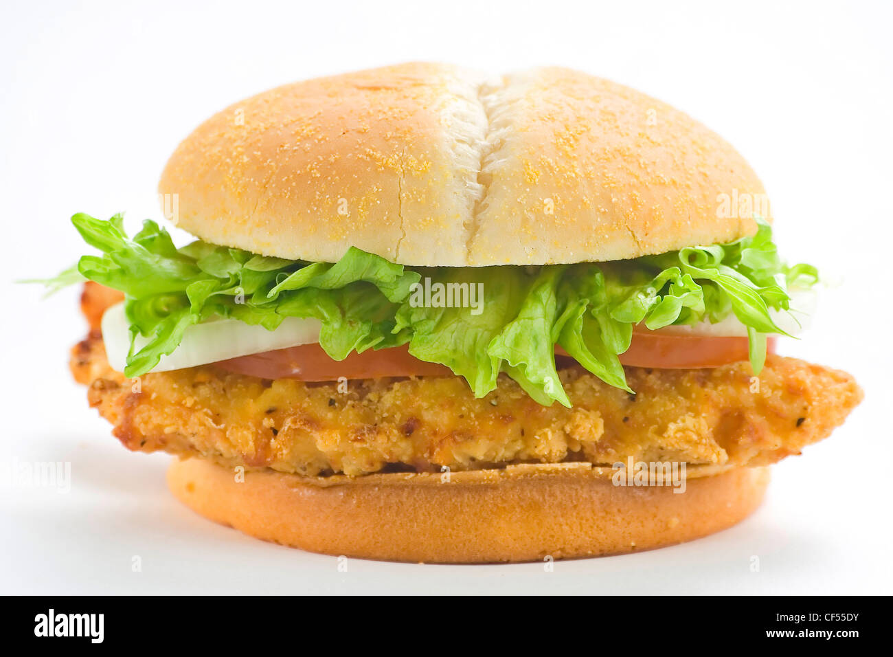 crisp chicken burger with tomato onion cheese lettuce Stock Photo - Alamy