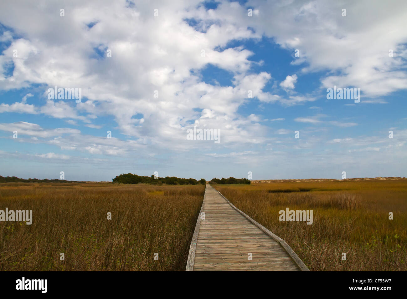 Boardwalk over marsh hi-res stock photography and images - Alamy