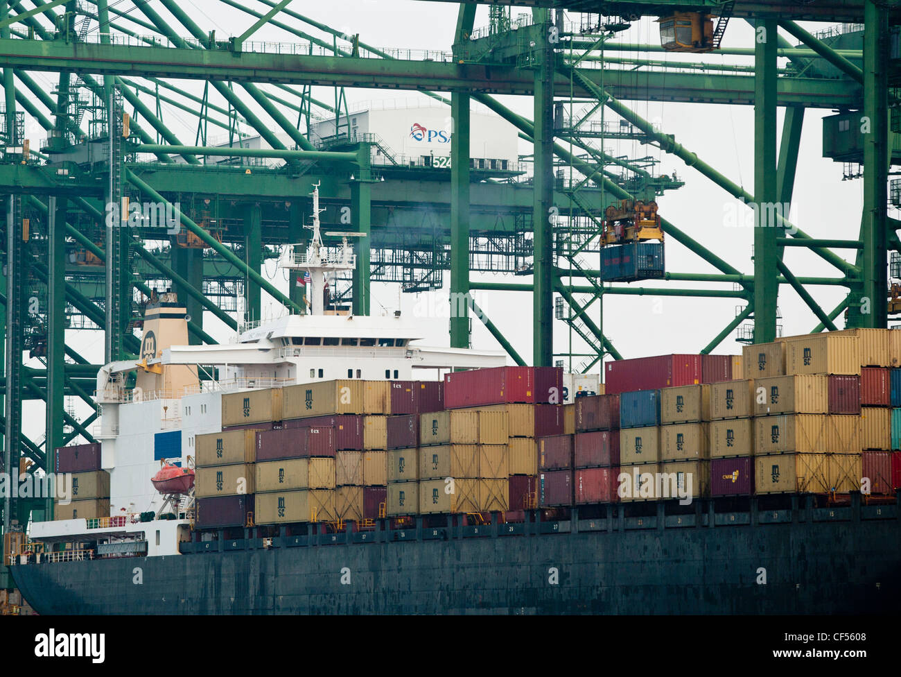 Container ships are seen moored at the Pasir Panjang terminal of the ...