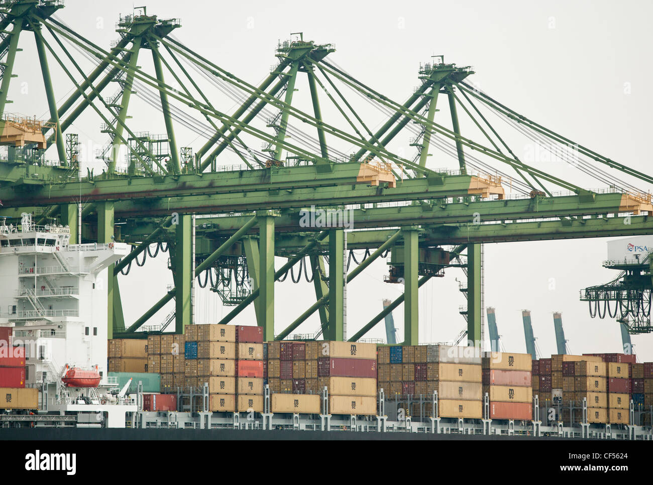 Container ships are seen moored at the Pasir Panjang terminal of the ...
