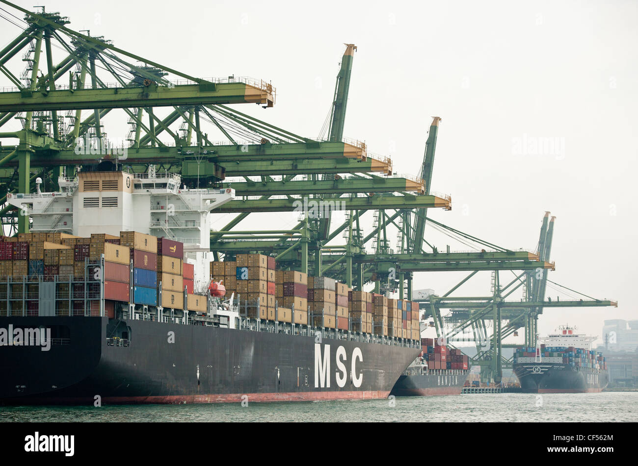 Container ships are seen moored at the Pasir Panjang terminal of the ...