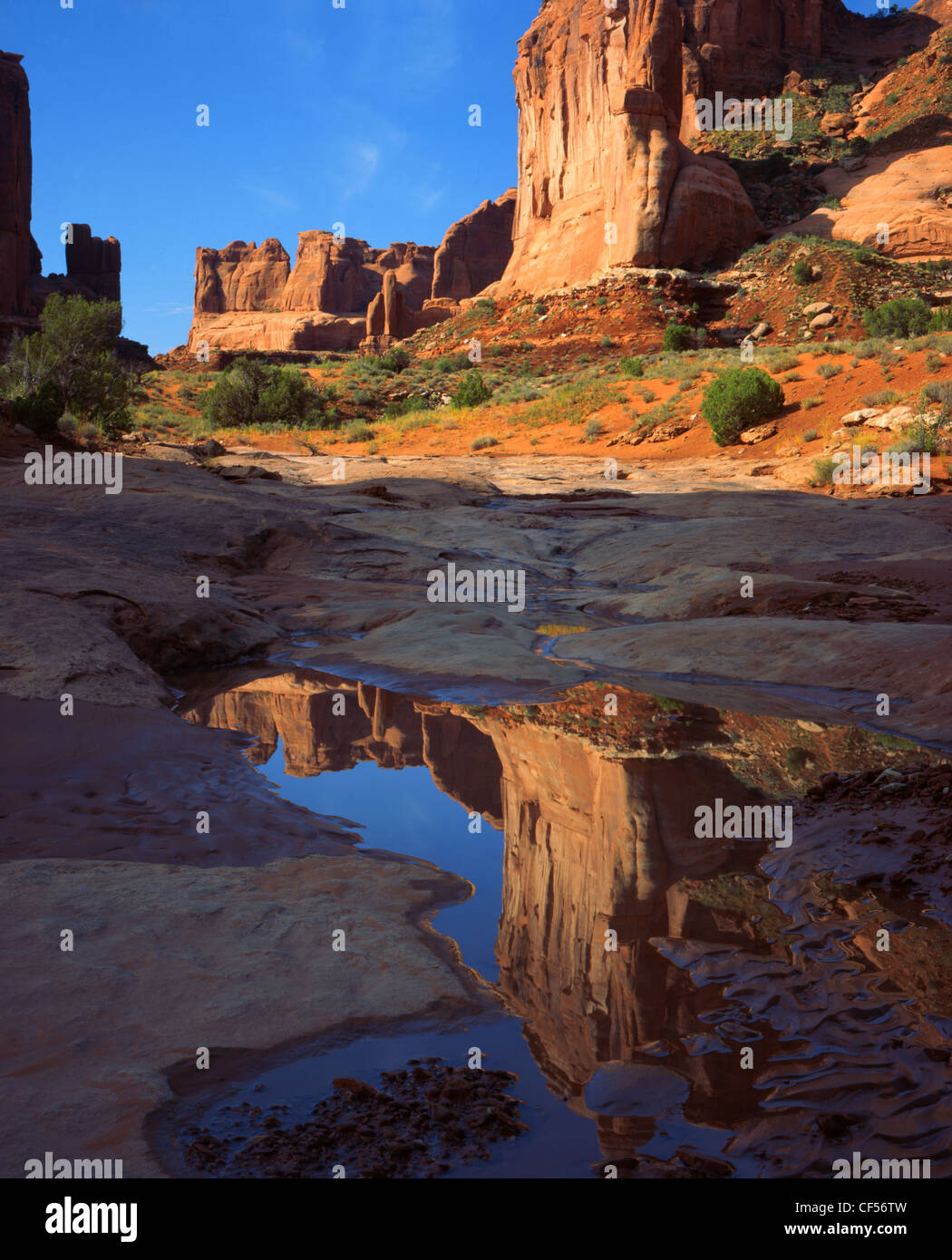 Courthouse Wash reflected in pool from recent rain in Arches National ...