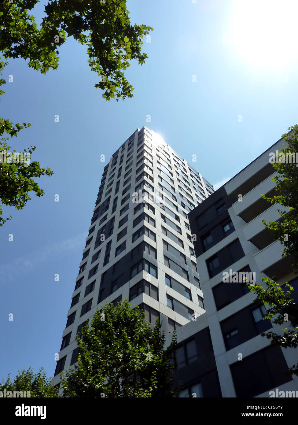 Black and white skyscraper surrounded by trees by beautiful sunny ...