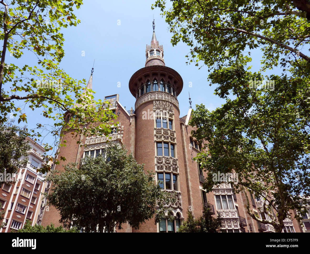 Trees in barcelona hi-res stock photography and images - Alamy