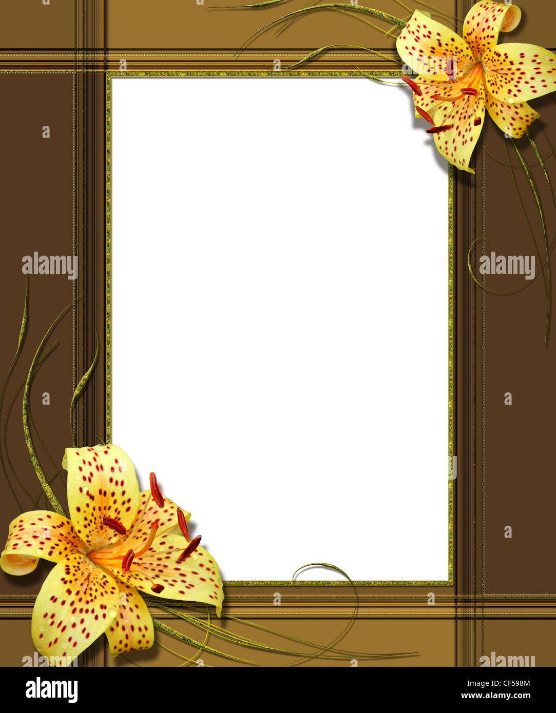 portrait frame with lily collage Stock Photo - Alamy