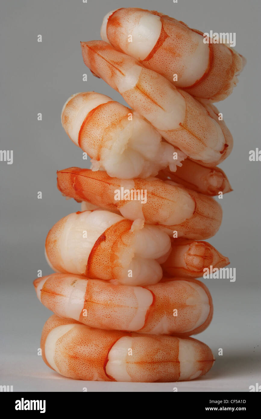Stack of prawns Stock Photo - Alamy
