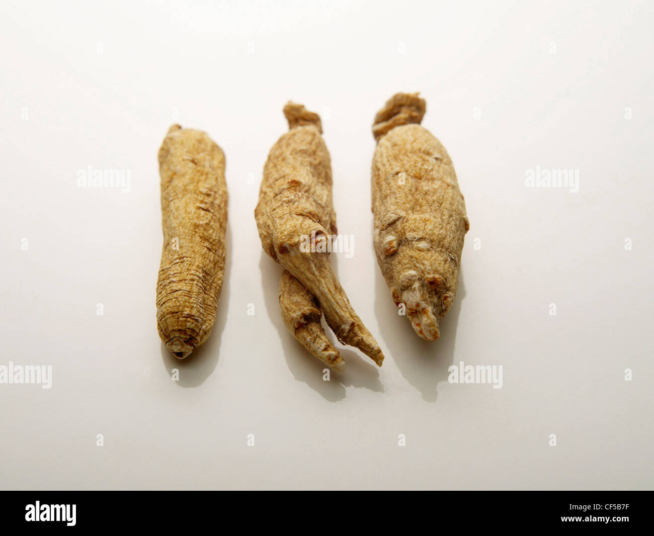Ginseng root plant hi-res stock photography and images - Alamy