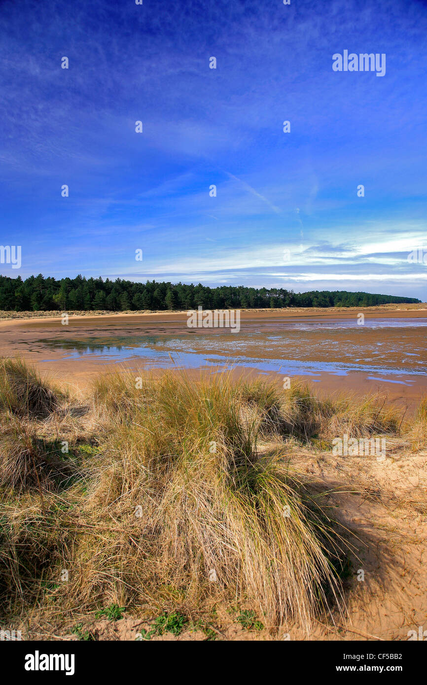 Sand Dunes Holkham Bay Beach National Nature Reserve Peddars way North ...