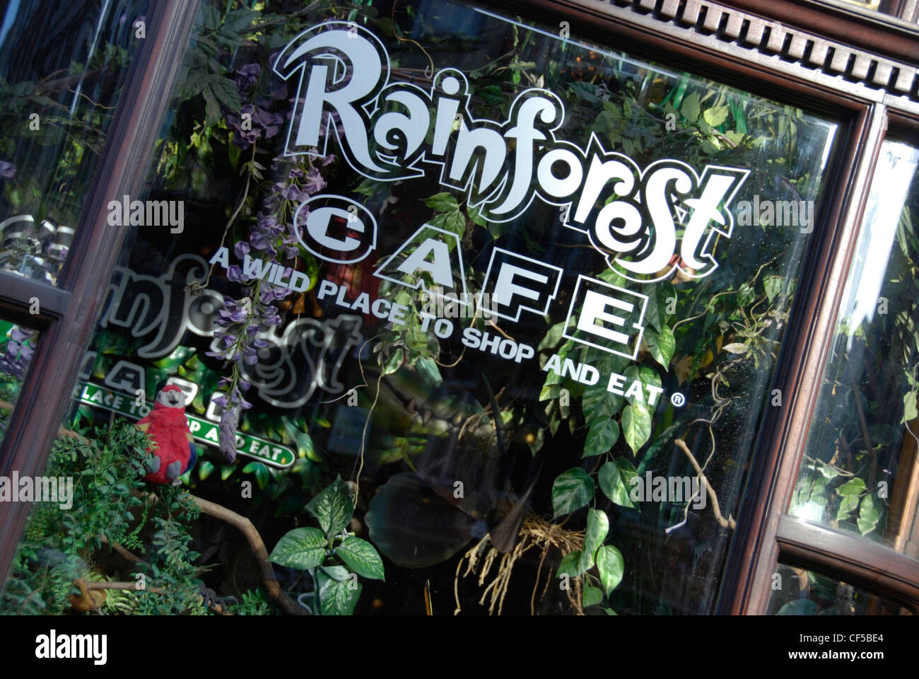 Rainforest cafe sign hi-res stock photography and images - Alamy