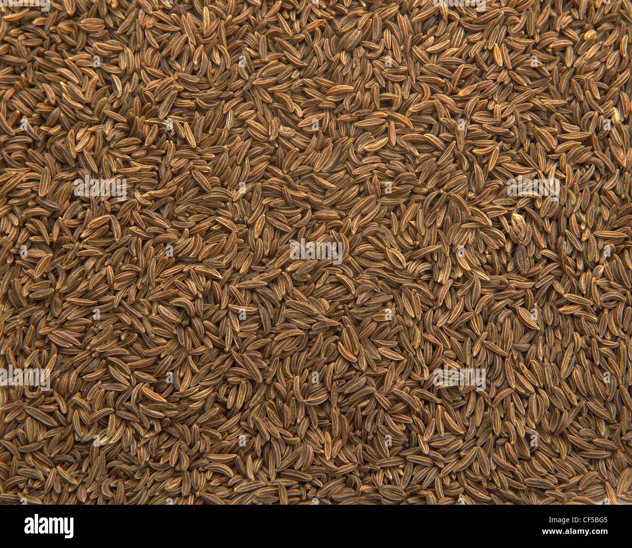 Full frame of caraway seed Stock Photo - Alamy