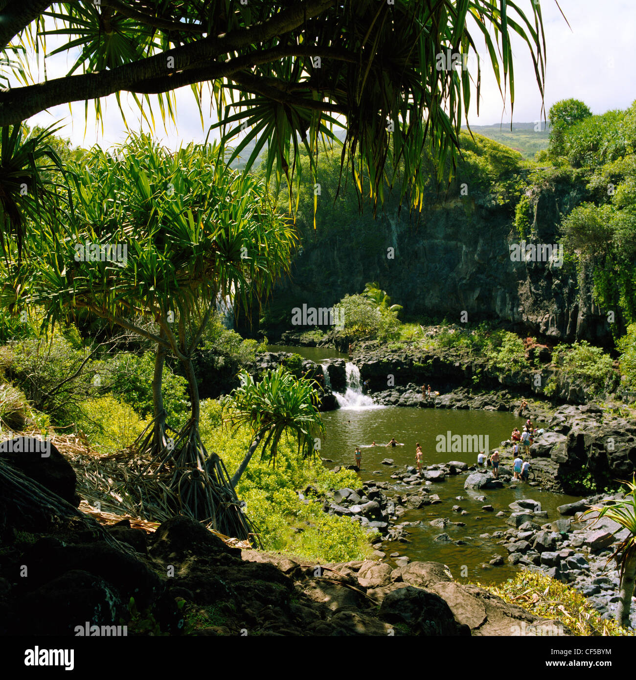 Seven Sacred Pools Oheo Gulch Maui Hawaii Stock Photo - Alamy