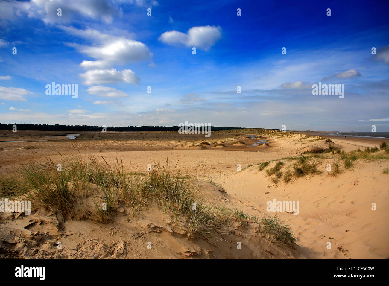 Sand Dunes Holkham Bay Beach National Nature Reserve Peddars way North ...