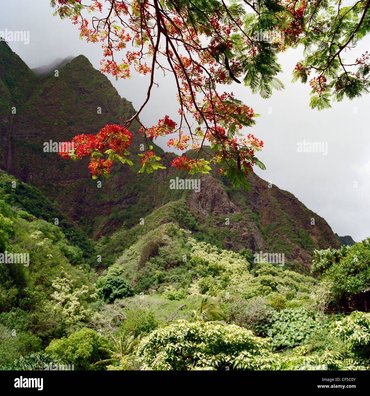 The iao valley hi-res stock photography and images - Alamy