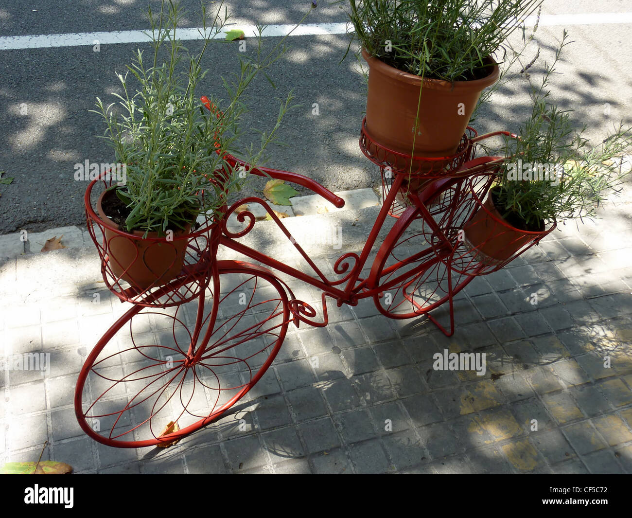 Plants cycle hi-res stock photography and images - Alamy