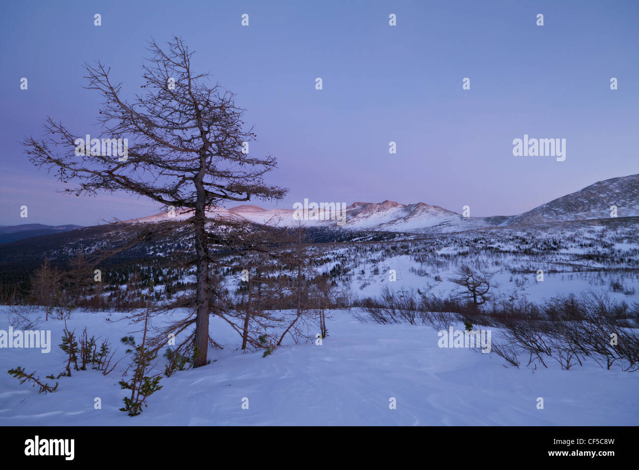 Snow rocks and taiga forest in Siberia mountains. Kuznetskiy Alatau ...