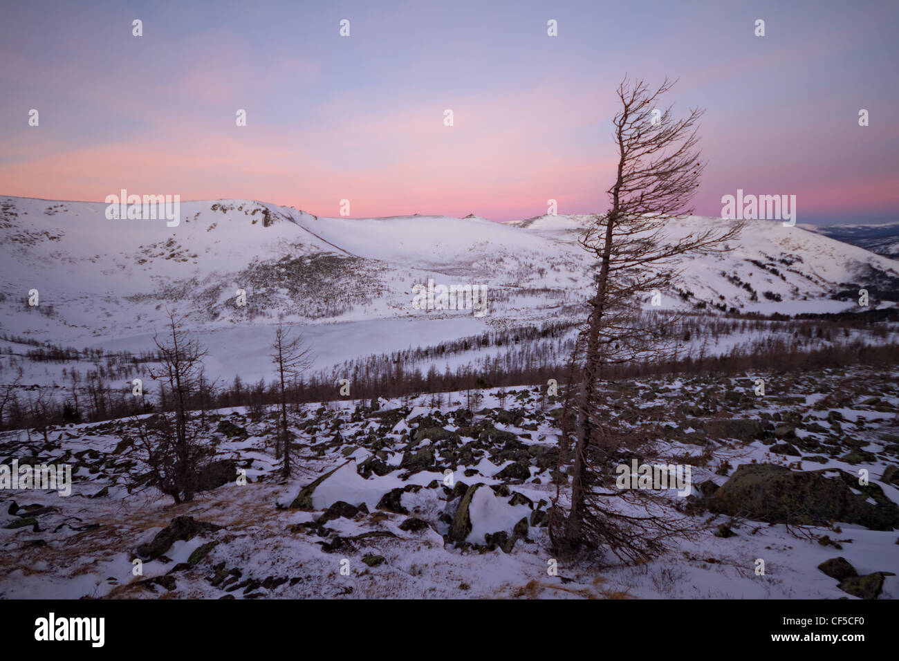 Snow rocks and taiga forest in Siberia mountains. Kuznetskiy Alatau ...