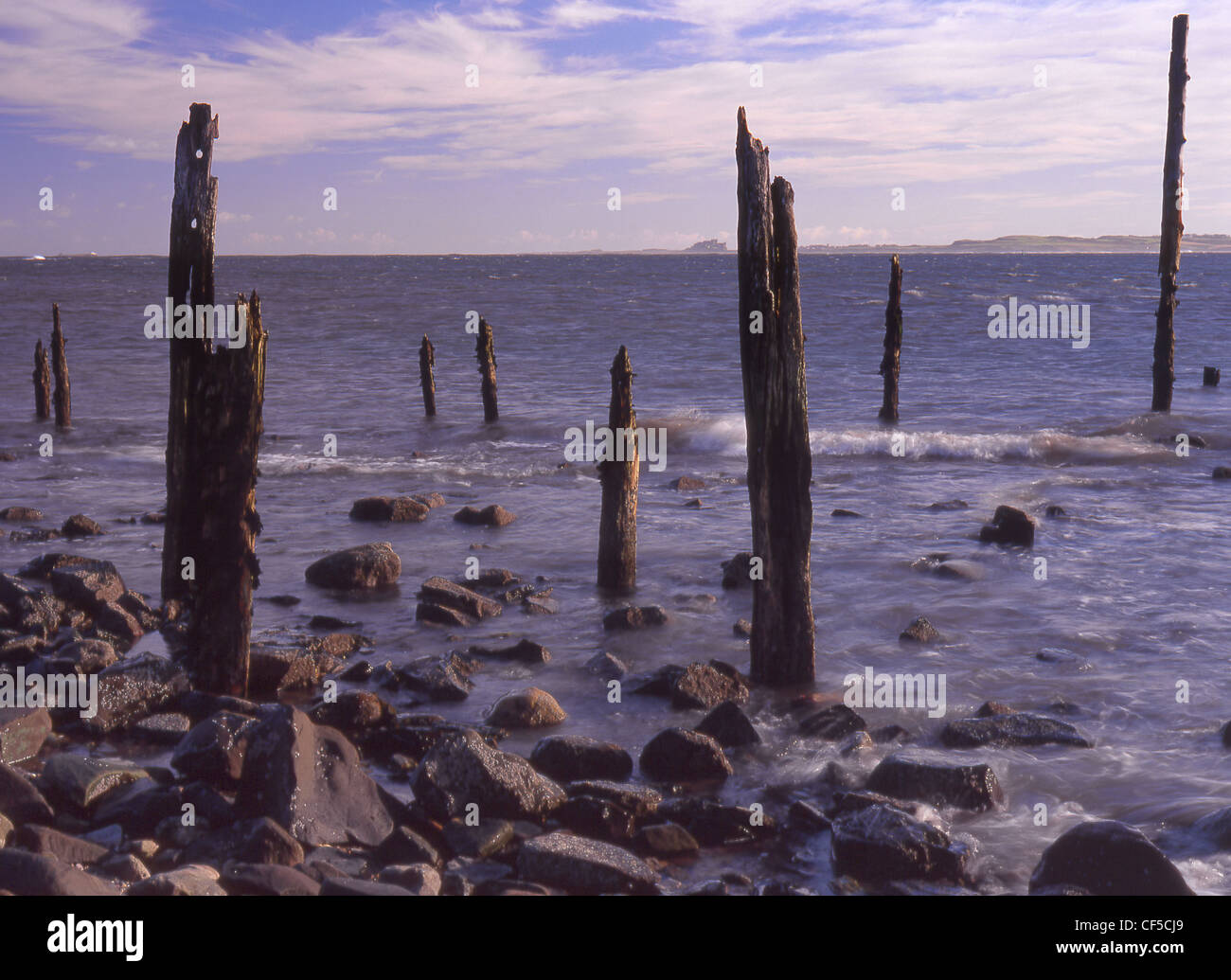 Rotting timber hi-res stock photography and images - Alamy