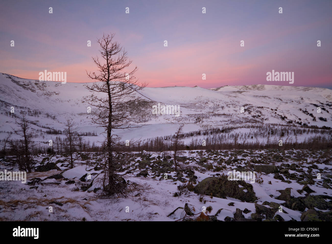 Siberia russia winter hi-res stock photography and images - Alamy