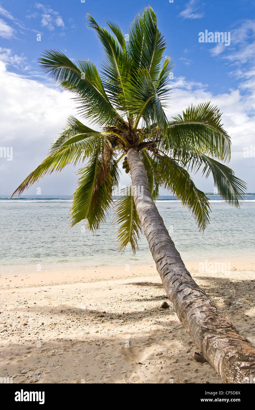 Antongil bay hi-res stock photography and images - Alamy