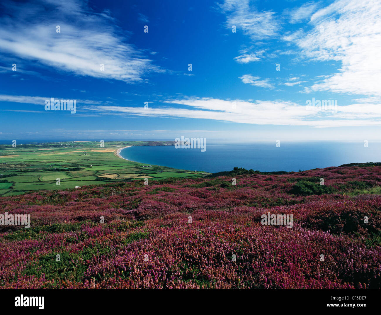 Welsh coast farmland hi-res stock photography and images - Alamy