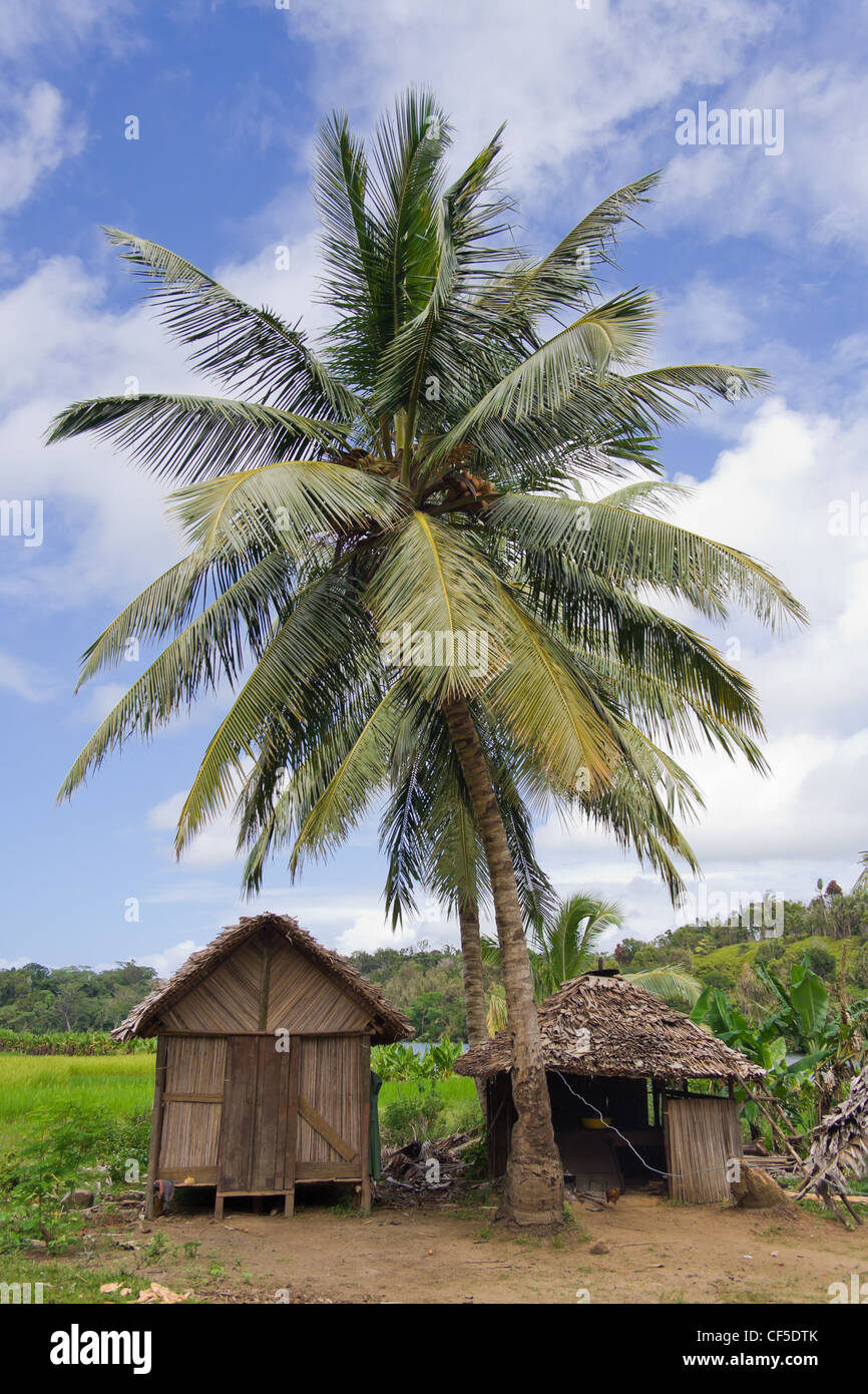 Coastal village of Antongil Bay, east of Madagascar Stock Photo - Alamy
