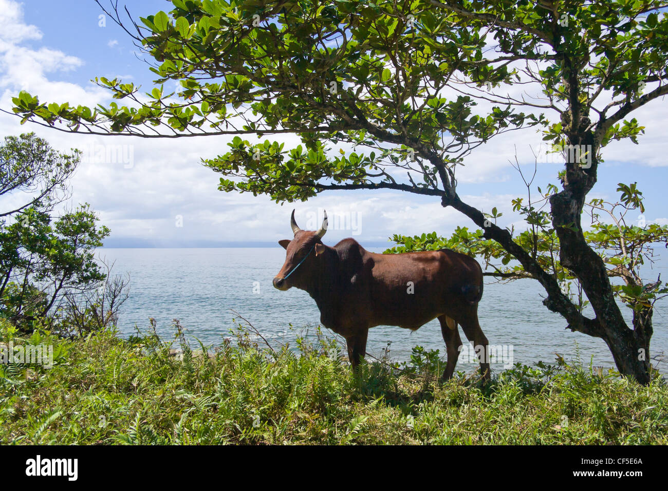 Bay Of Antongil High Resolution Stock Photography and Images - Alamy