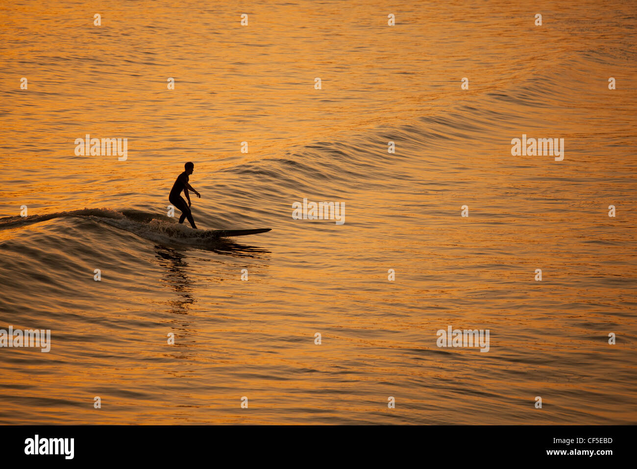 Surfer sunset australia hi-res stock photography and images - Alamy